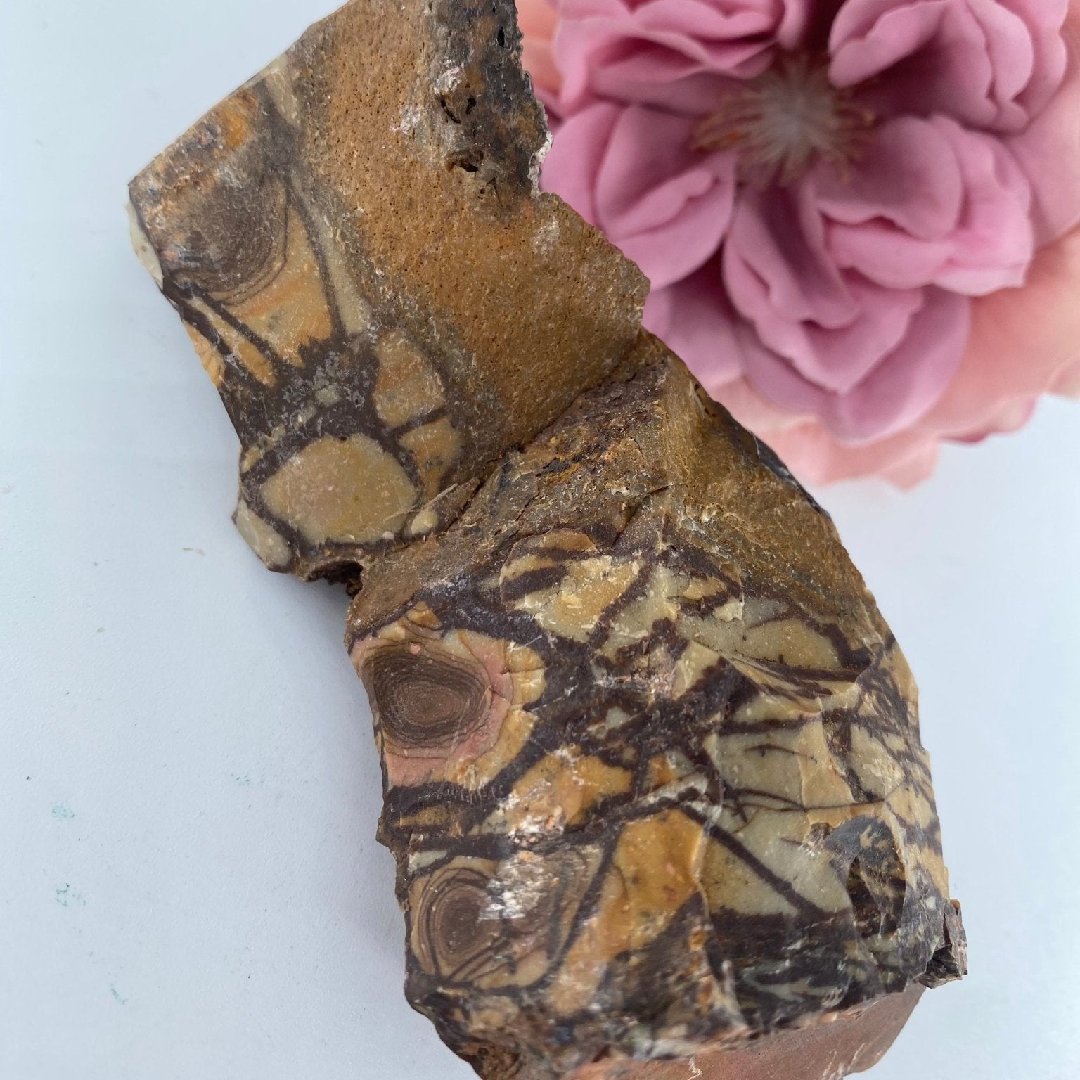 Nguni Jasper Gemstone | Cobbed Nguni Jasper | Positive Faith Hope Love